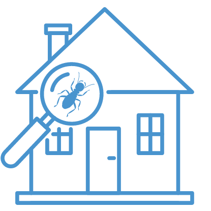 Termite Control - Shore Pest Solutions LLC - Same Day Pest Control In ...